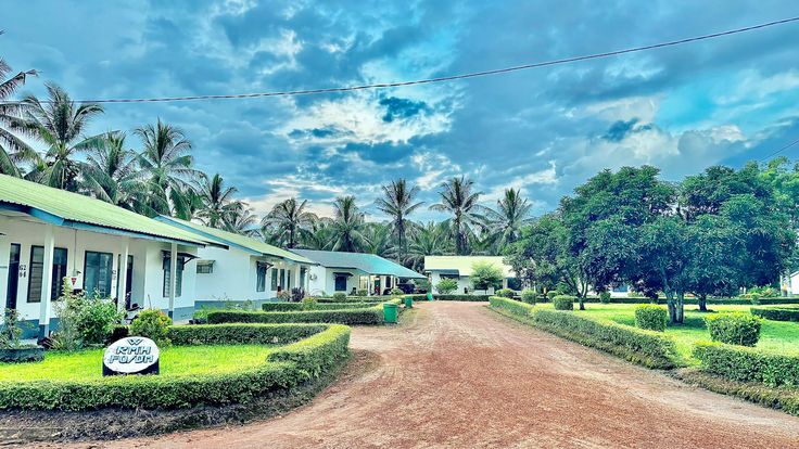 Kebun Sawit di Tengah Kota: Urban Plantation sebagai Solusi Ruang Hijau ...