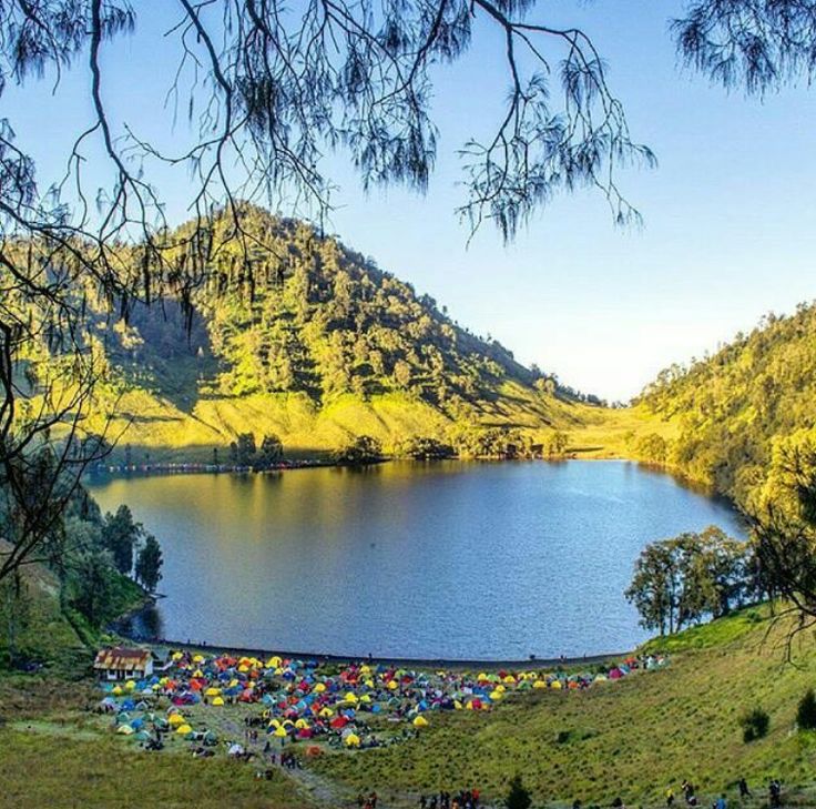 Camping di Ranu Kumbolo: Menyatu dengan Alam, Menikmati Kopi Hitam di ...